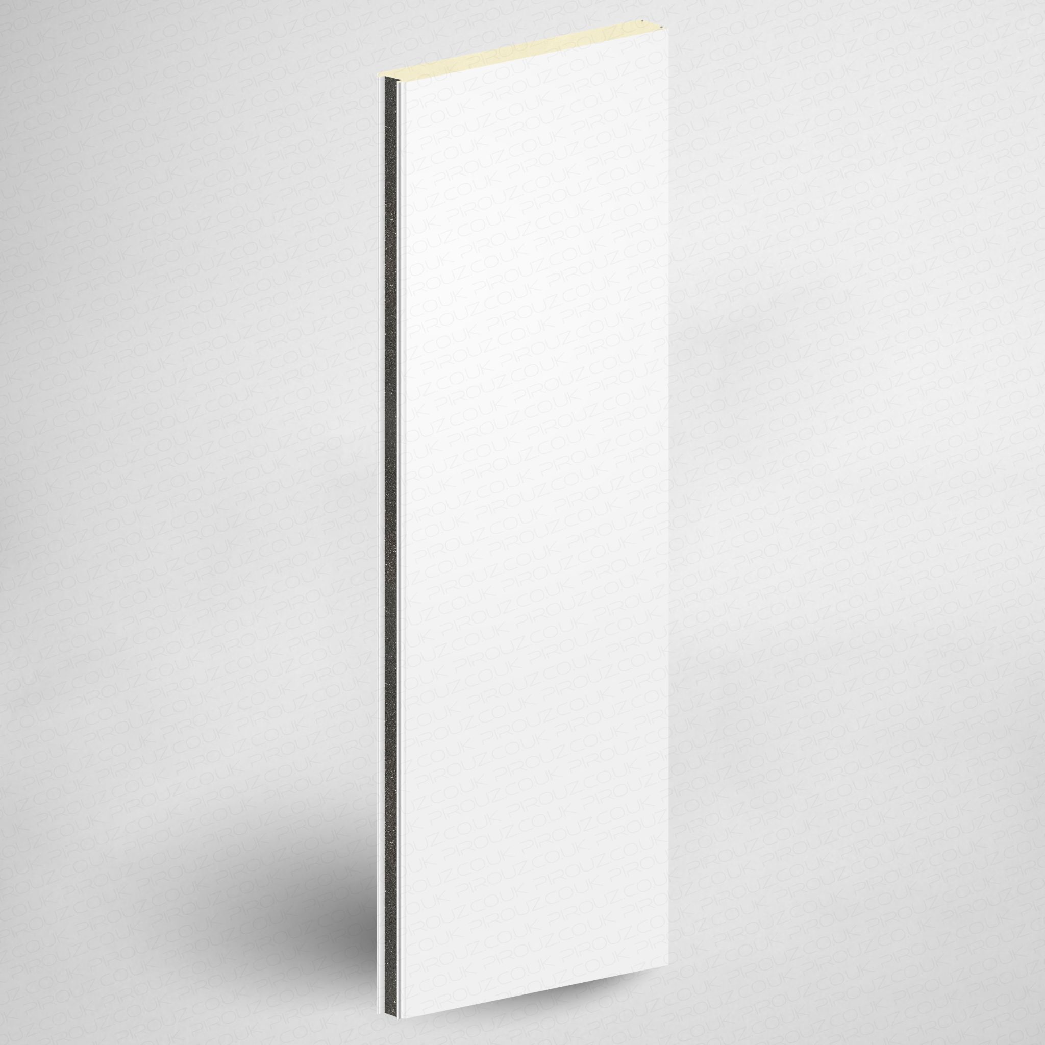 Chiller-Room Positive standard Hinged Door – Pirouz Ltd.